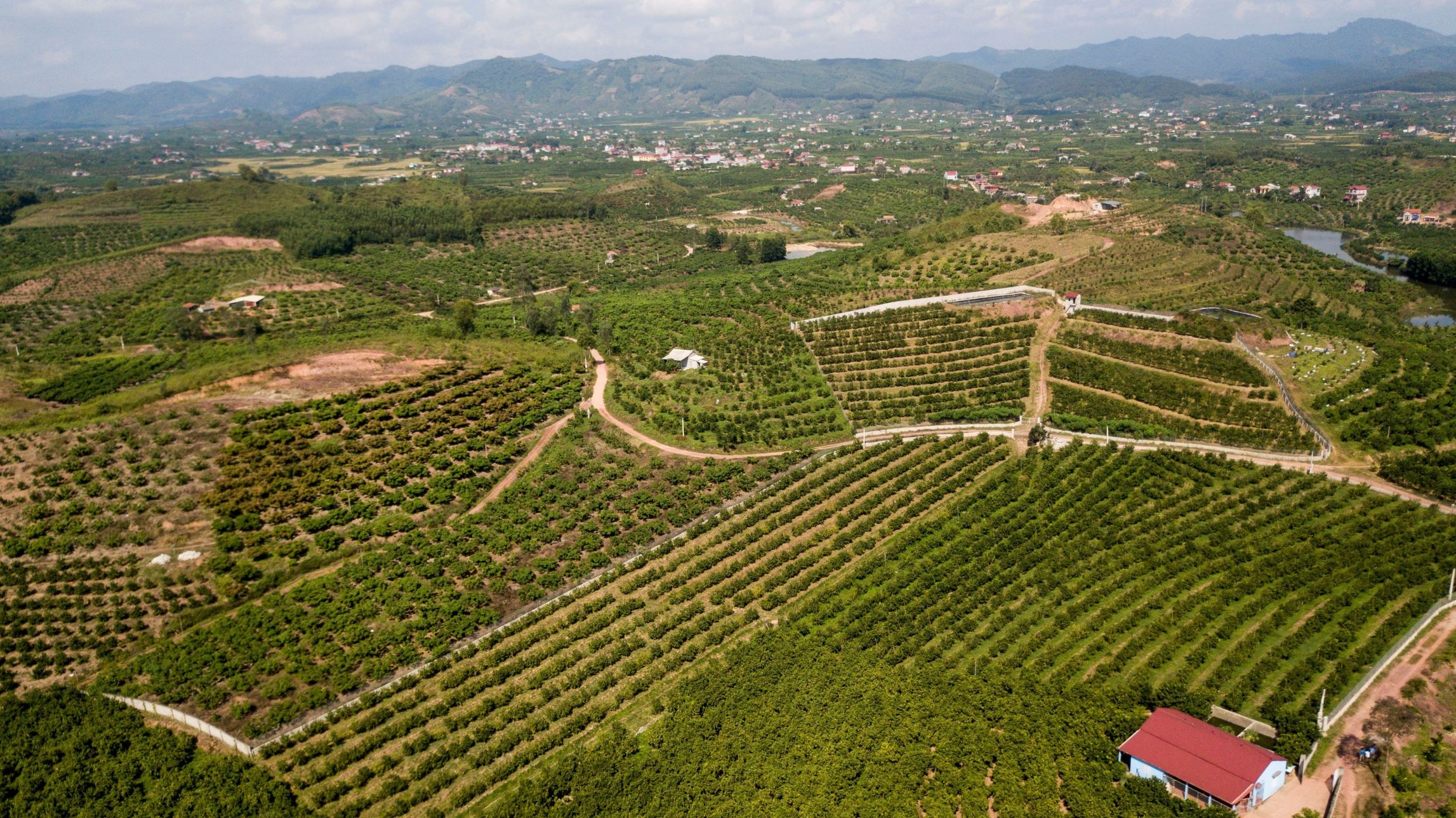 7 đề án/dự án ưu tiên triển khai trong Chương trình OCOP giai đoạn 2021 ...