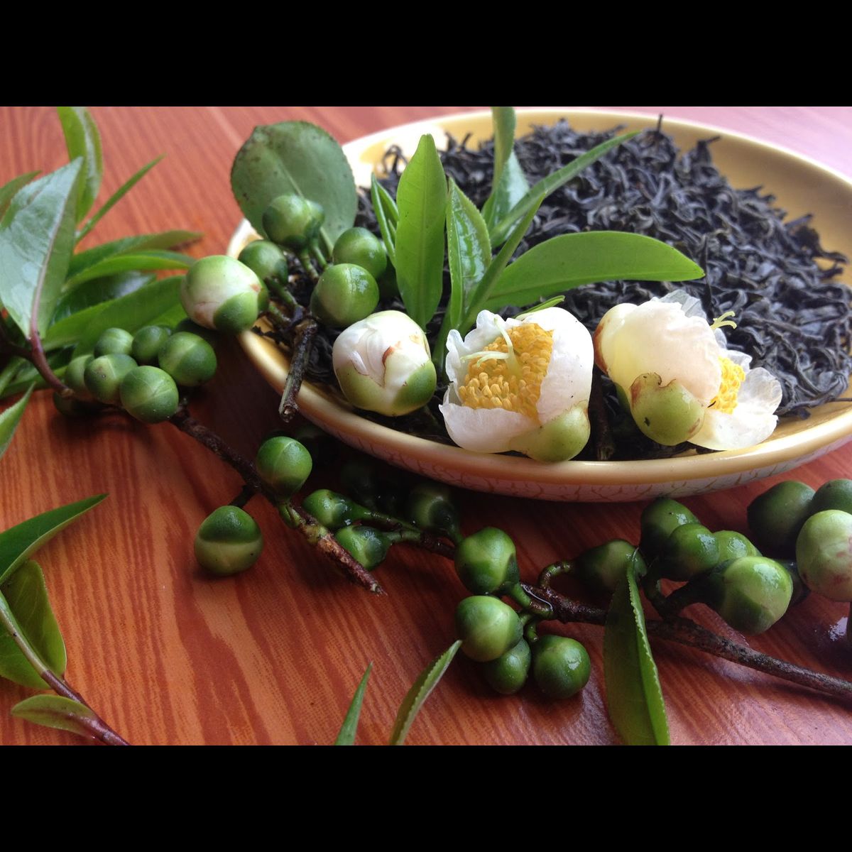 Chè Shanam - Kết tinh hương vị đất trời