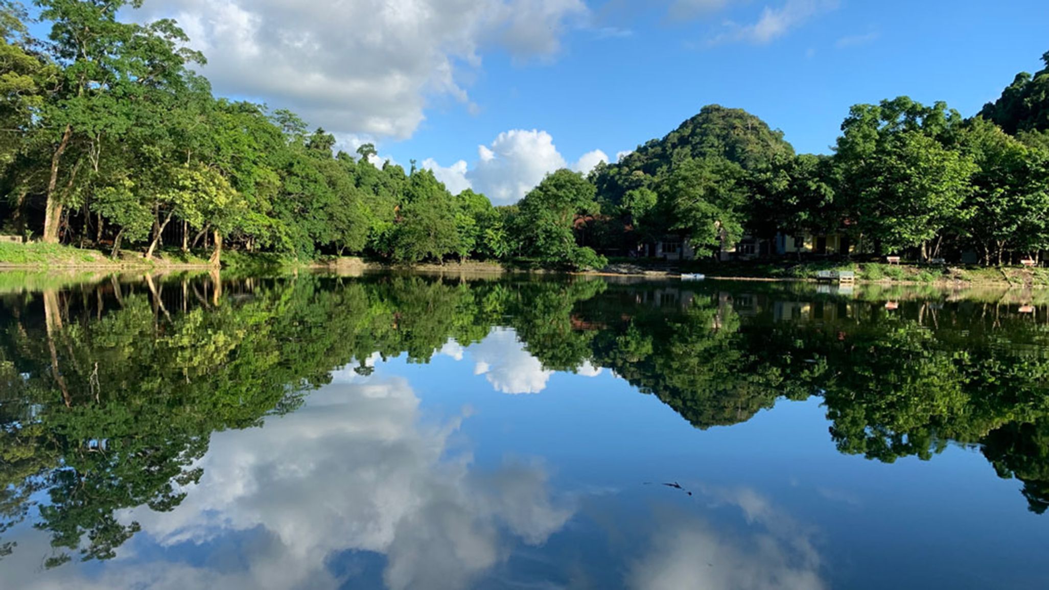 Le parc national de Cuc Phuong : la plus grande réserve naturelle du ...