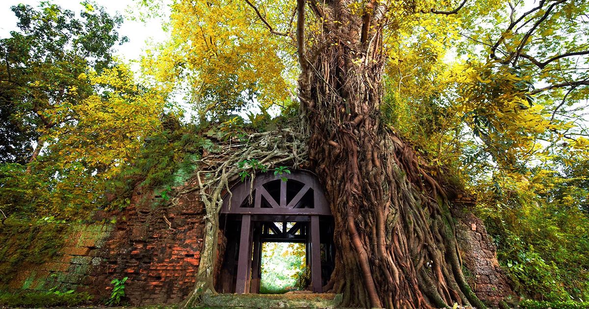 Awakening the heritage of the “white cloud land”