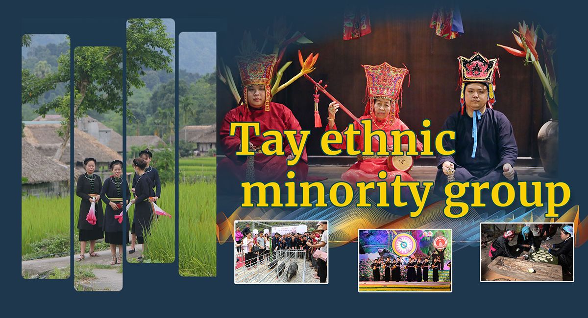 Tay ethnic minority group