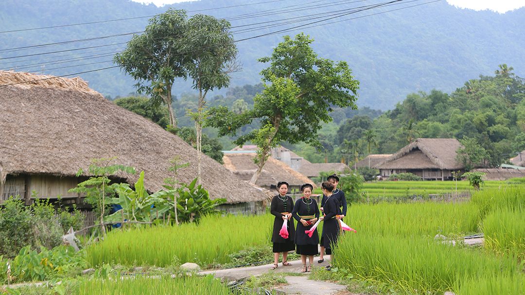 Tay ethnic minority group