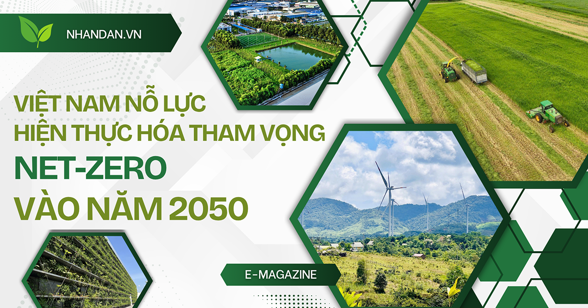 Việt Nam nỗ lực hiện thực hóa tham vọng Net-Zero vào năm 2050